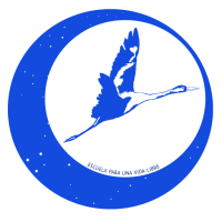 21 diciembre, 2025 – Hùn Yuán Líng Tōng